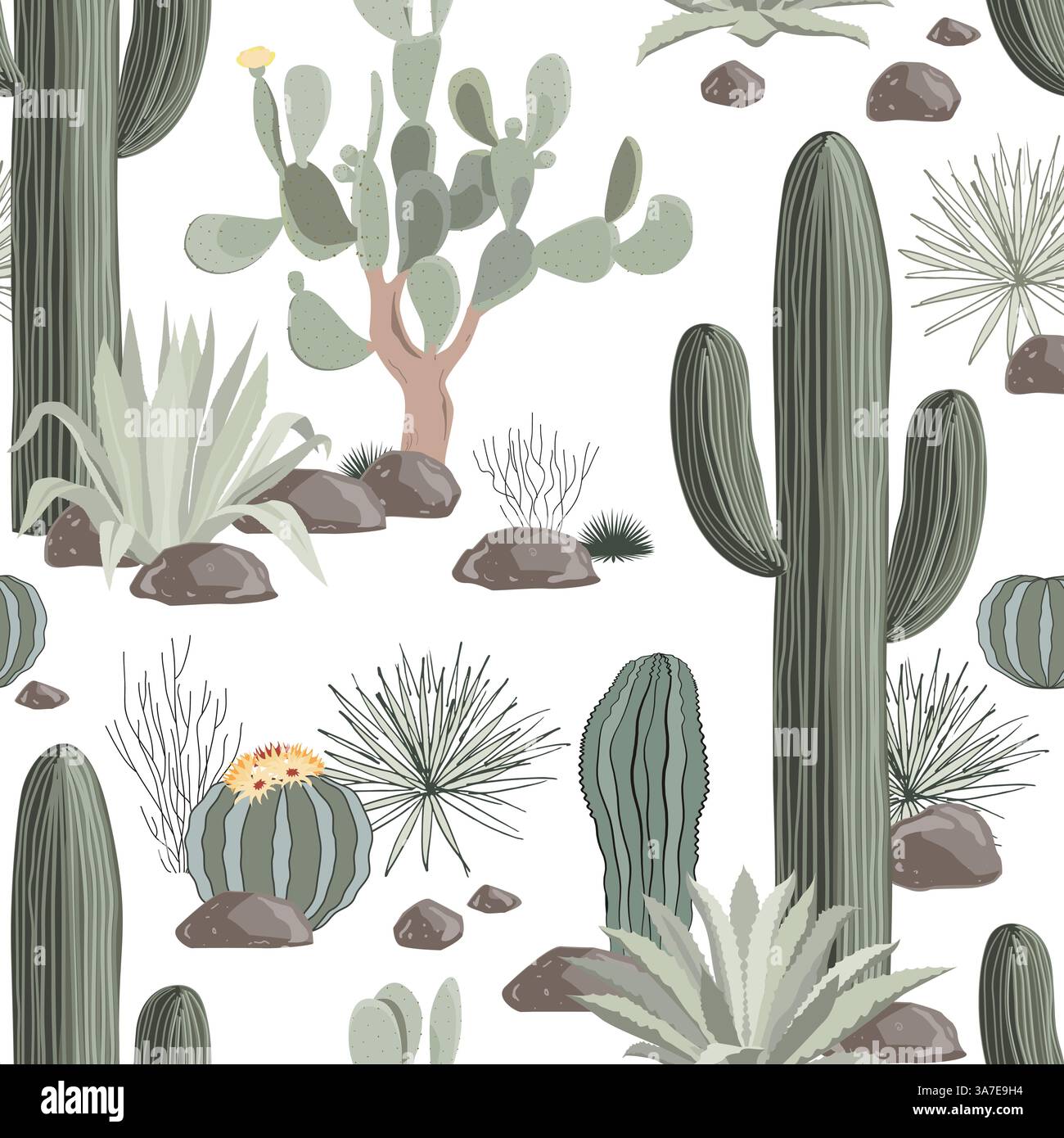 Siant cardon and Saguaro cactus and agaves seamless pattern. Cacti landscape background, vector ...
