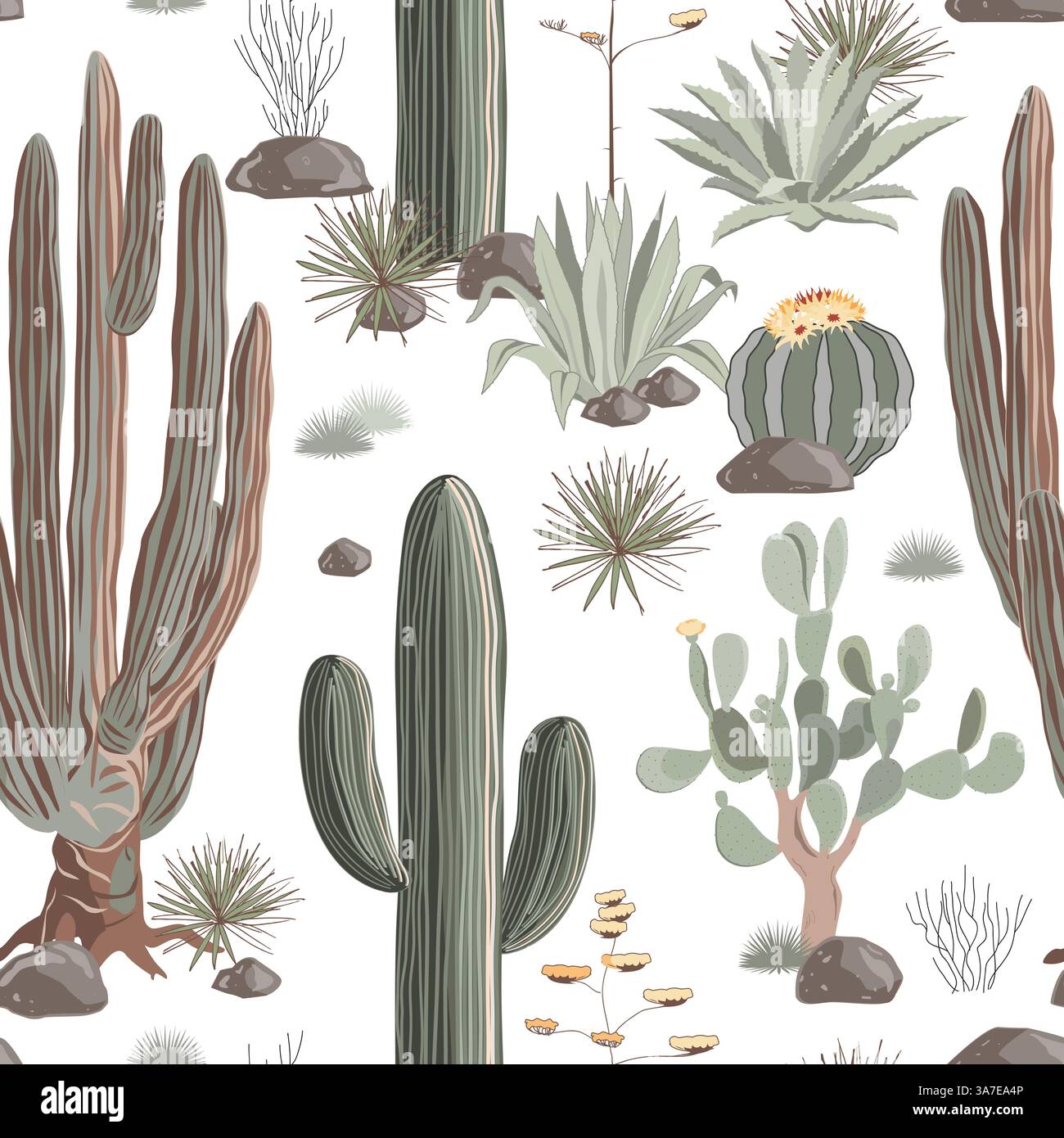 Siant cardon and Saguaro cactus and agaves seamless pattern. Cacti landscape background, vector ...