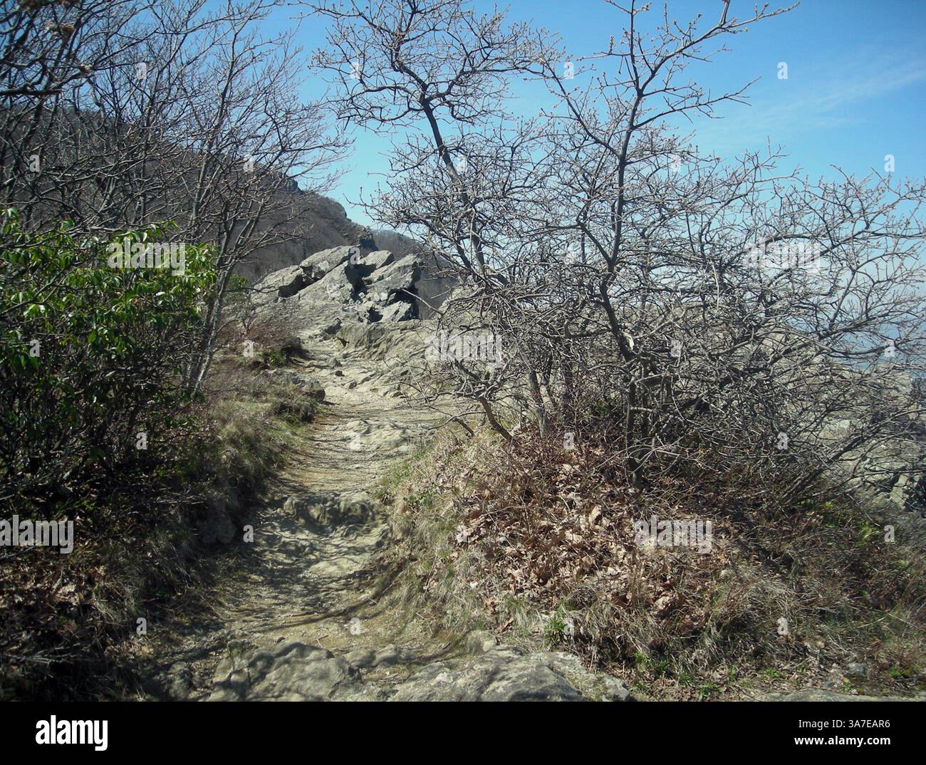 April 21, 2011 - Shenandoah National Park, VA, USA - Stony Man Mountain ...