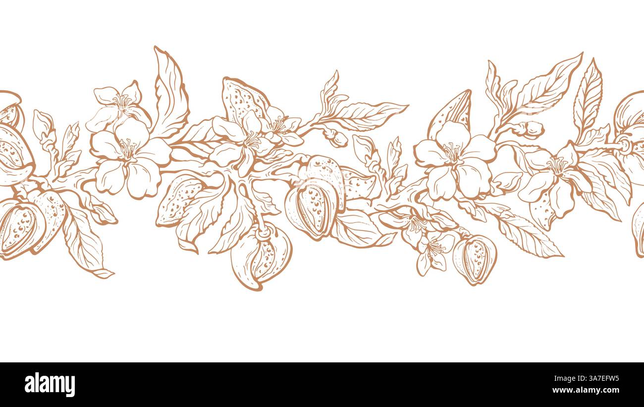 Almond texture print. Vector border. Hand drawn sketch of branch, nuts ...