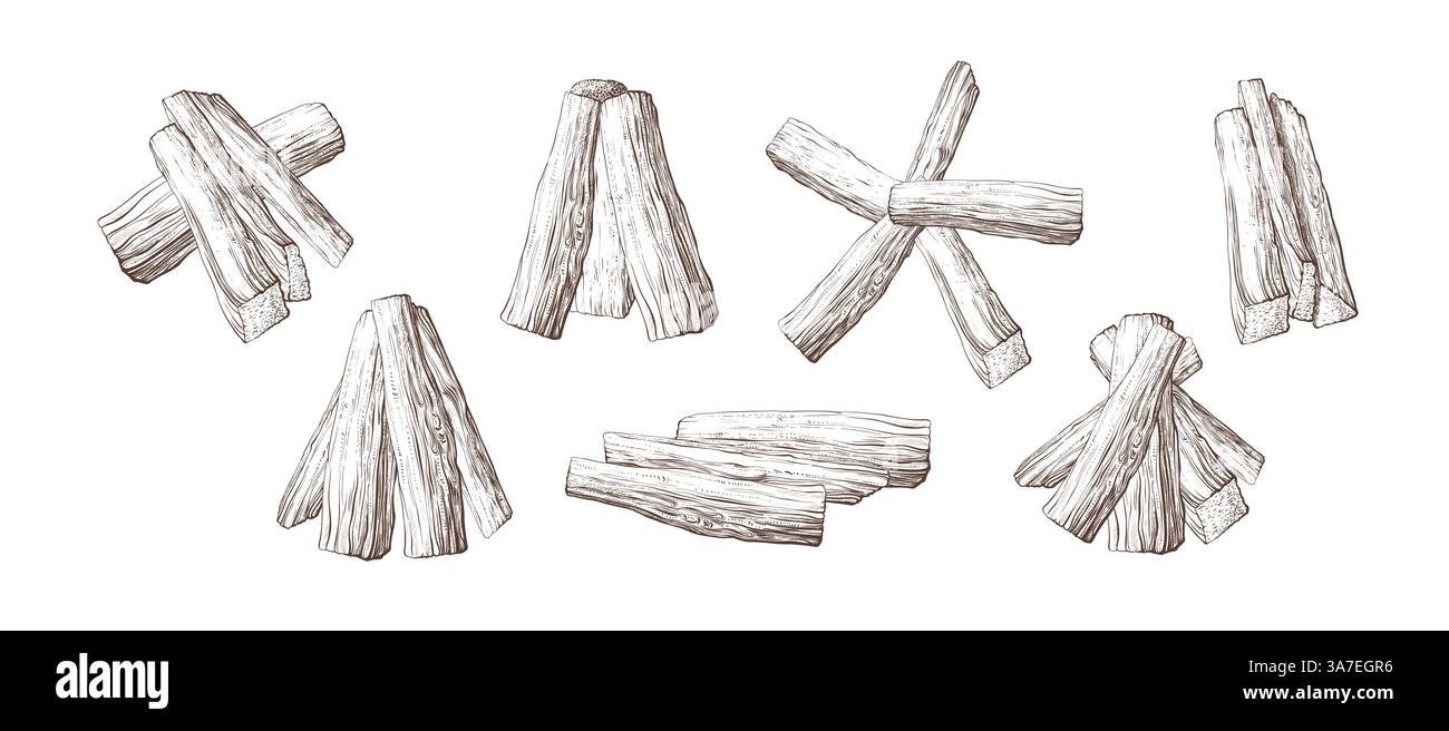 Firewood set. Timber pile for bonfire. Vector hand drawn sketch ...