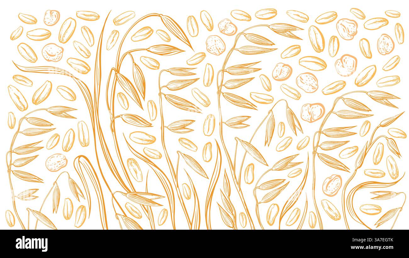 Oat seed, spike, flakes background. Vector engraving. Vintage graphic ...