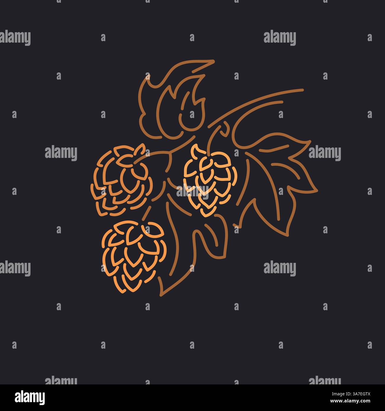 Hop lirear symbol. Vector art plant. Graphic cone, leaves isolated ...