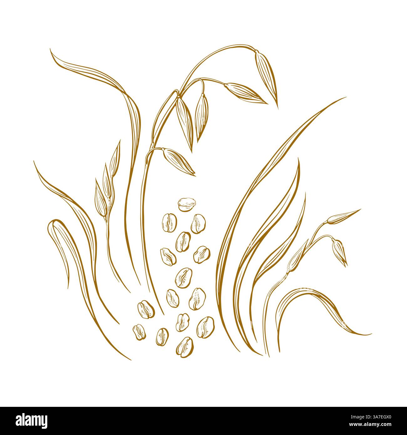 Oat-flakes and spike. Rustic graphic set. Healthy porridge and bio milk ...