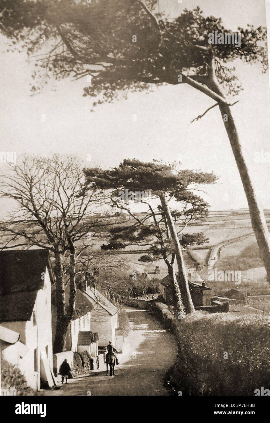 Images of Britain in the 1940's -- The Village of Newton Tracey, Devon ...