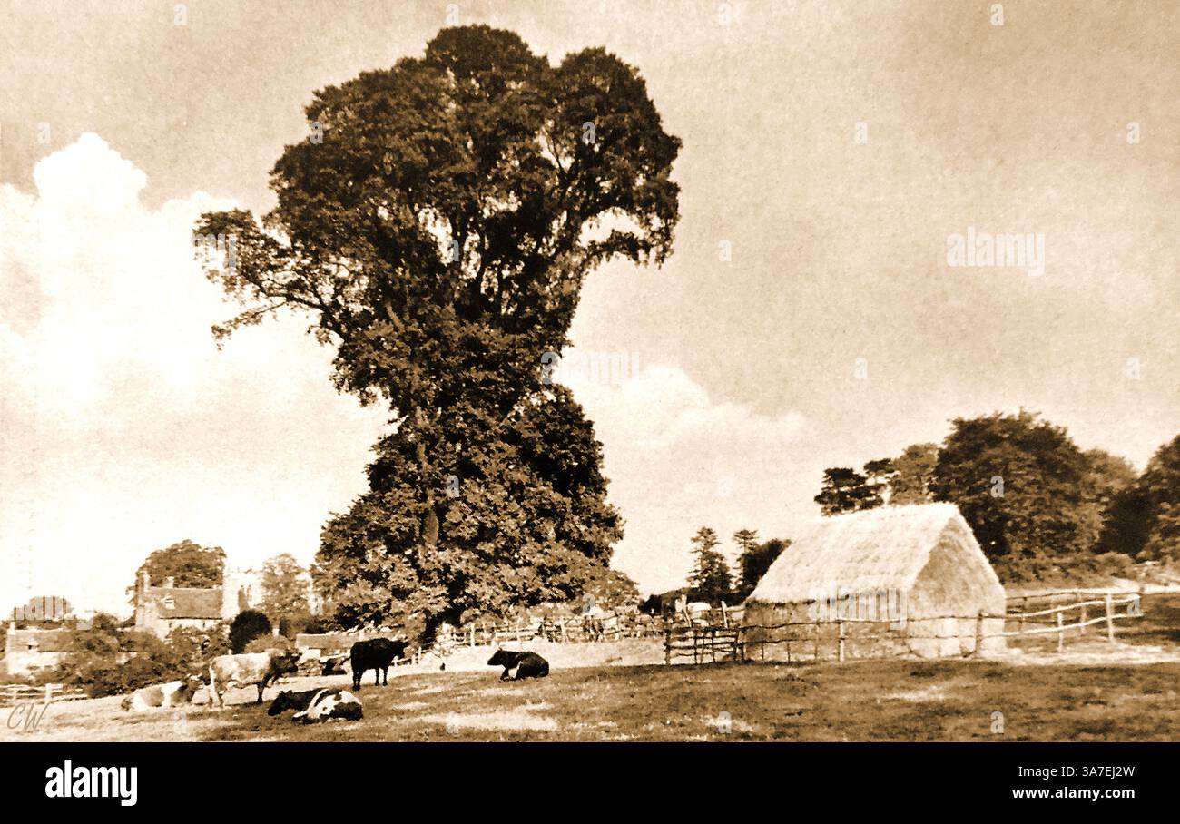 Images of Britain in the 1940's -- A 1940 view of a Grass Farm near ...