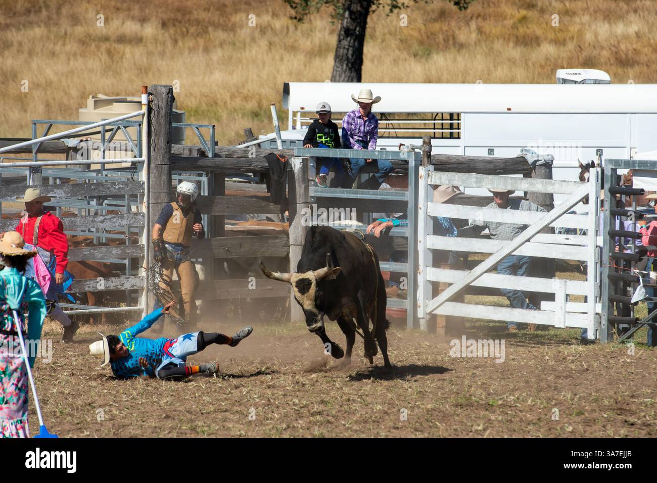Teebar, Queensland- 12th June 2021- The Teebar Show, Rodeo, and ...