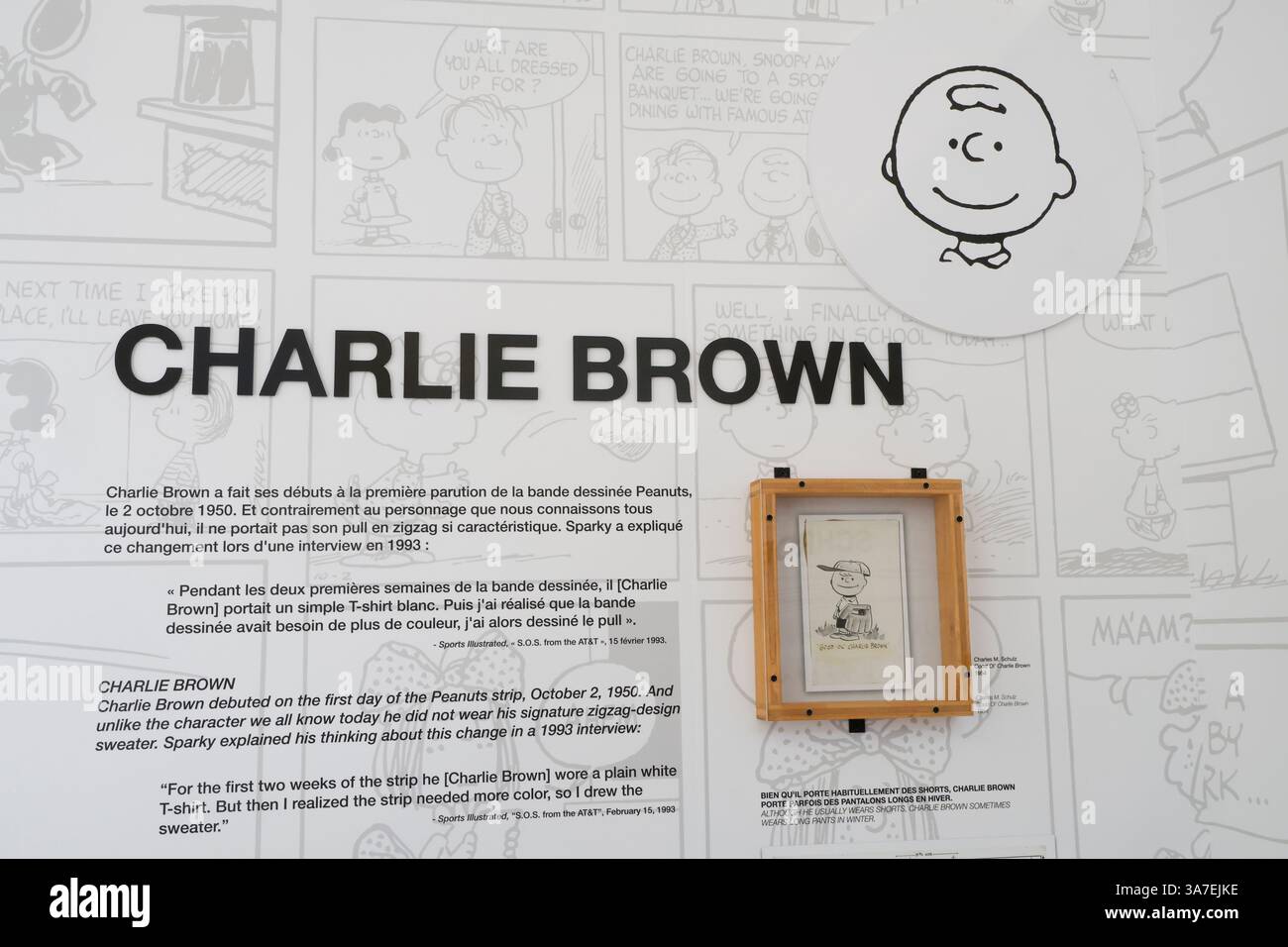 SNOOPY IN SYLE EXHIBITION IN PARIS Stock Photo - Alamy