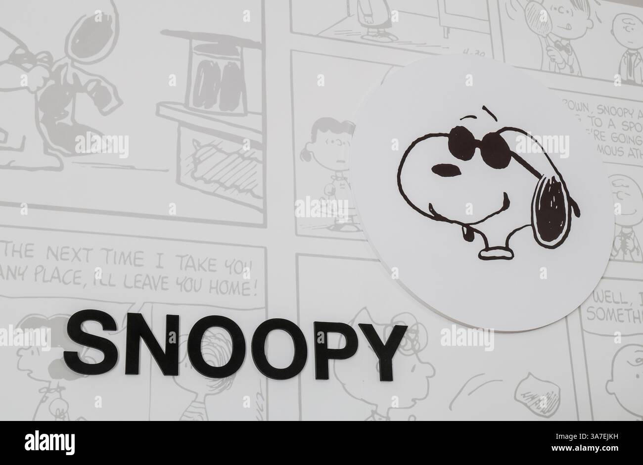 SNOOPY IN SYLE EXHIBITION IN PARIS Stock Photo - Alamy