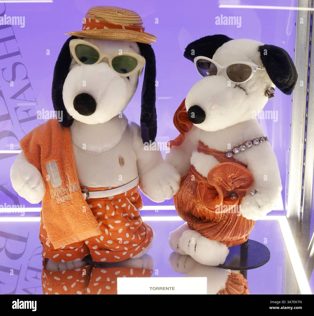 Snoopy dog and house cartoon hi-res stock photography and images - Alamy