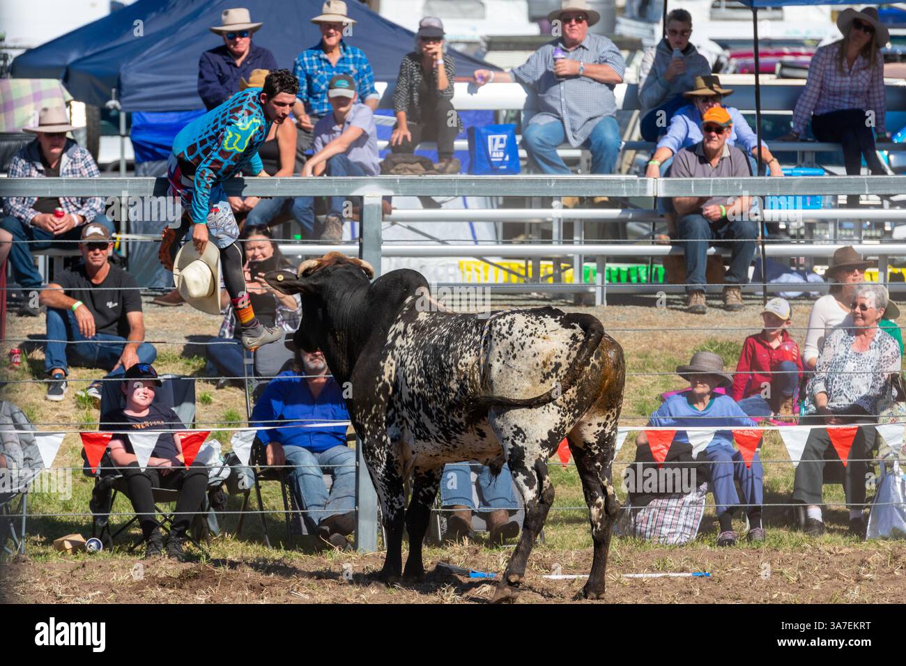 Teebar, Queensland- 12th June 2021- The Teebar Show, Rodeo, and ...