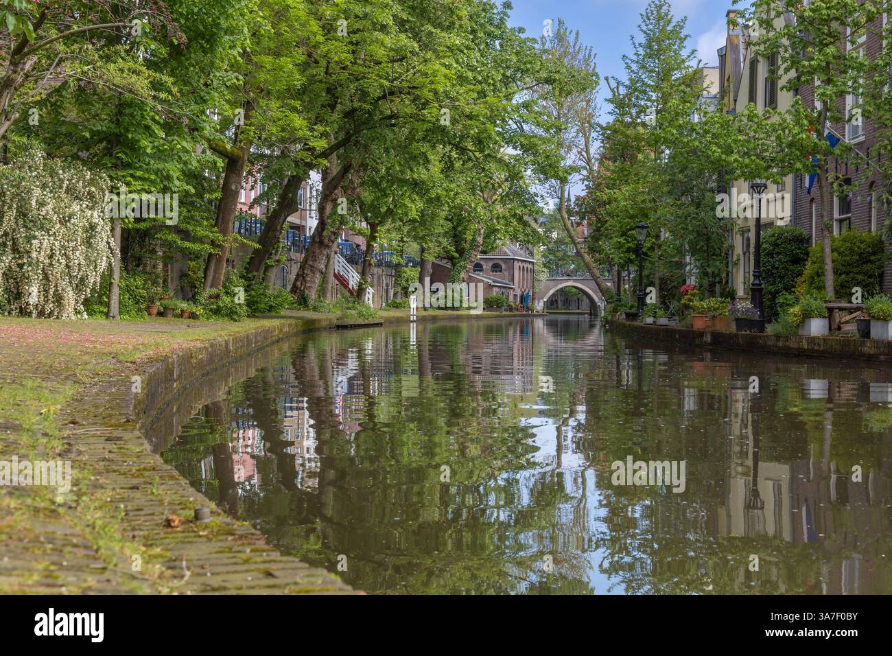 Oudegracht Canal and Twijnstraat aan de Werf with flowers and green ...