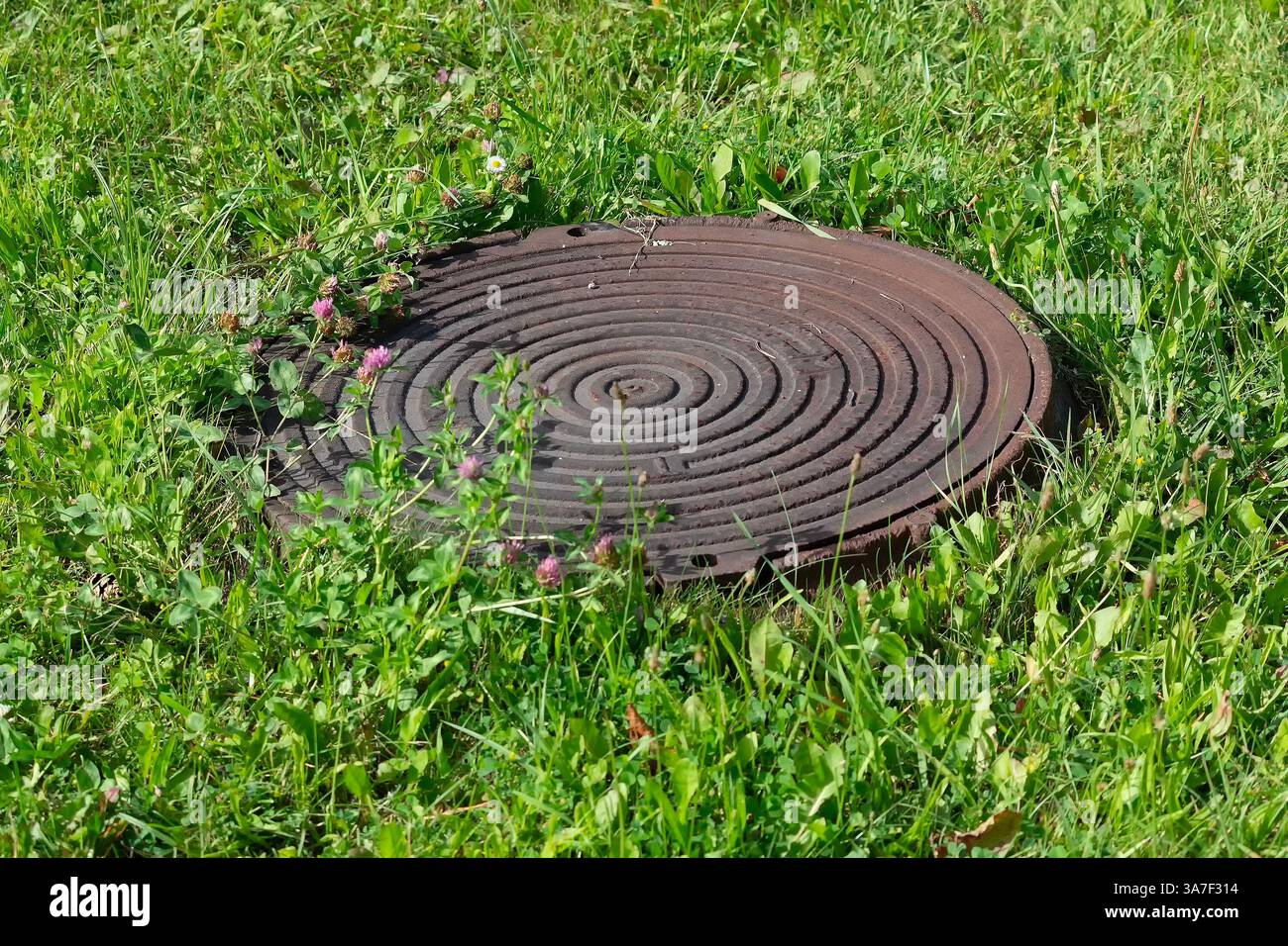 Manhole in the green grass of the lawn. Nature Stock Photo - Alamy
