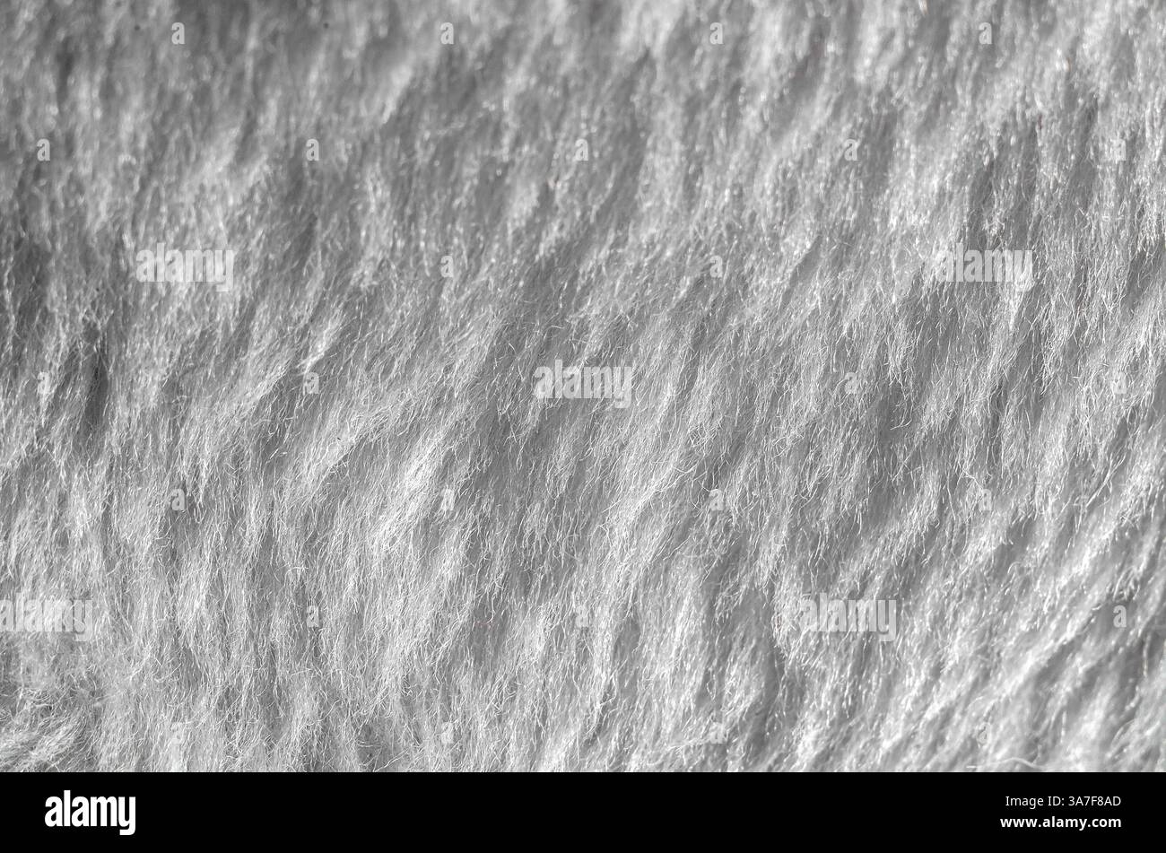 Close-up of white fluffy fur texture in grayscale for fabric design ...