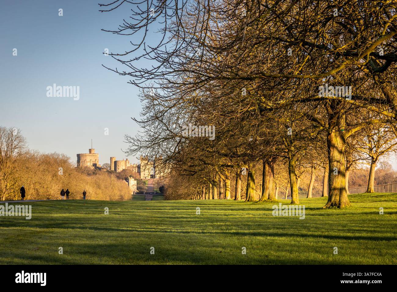 Windsor Castle from Windsor Great Park, Windsor, Berkshire, England, UK ...