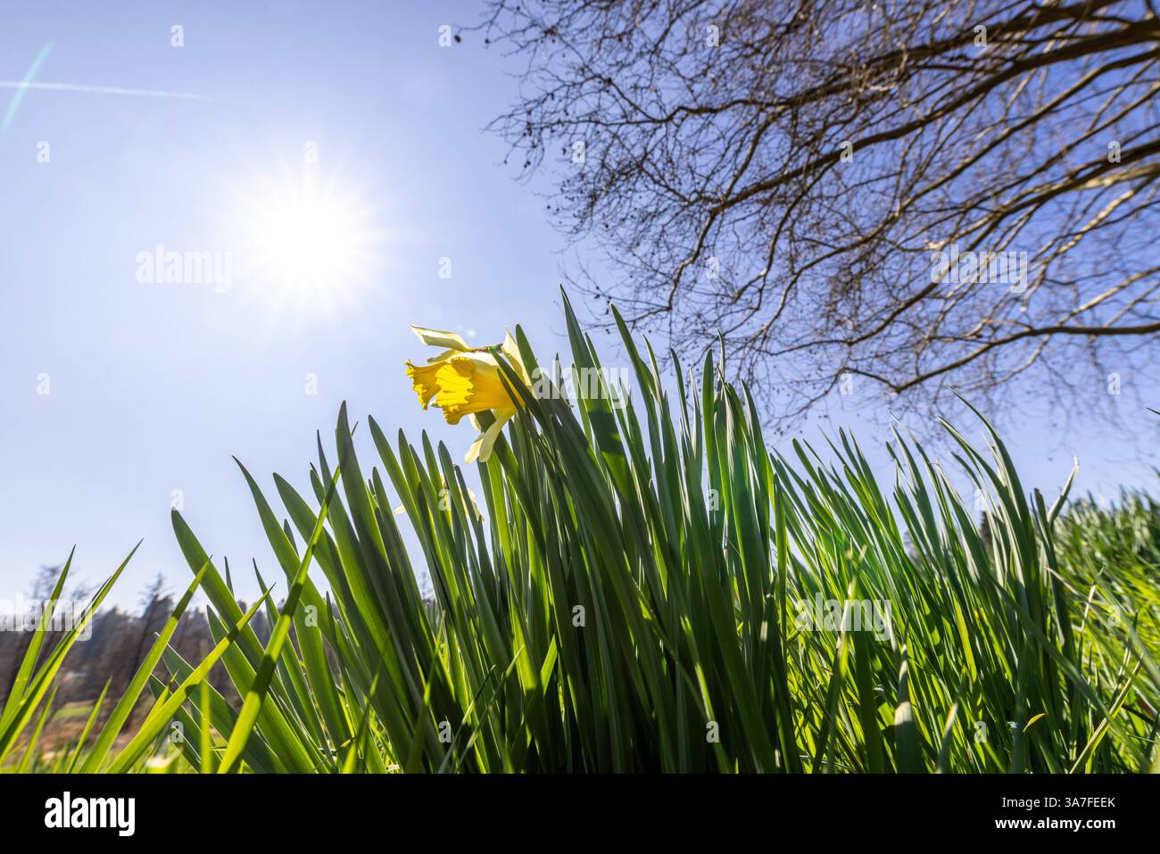 Elegantes Wetter Oberursel 30 Tage Bilder