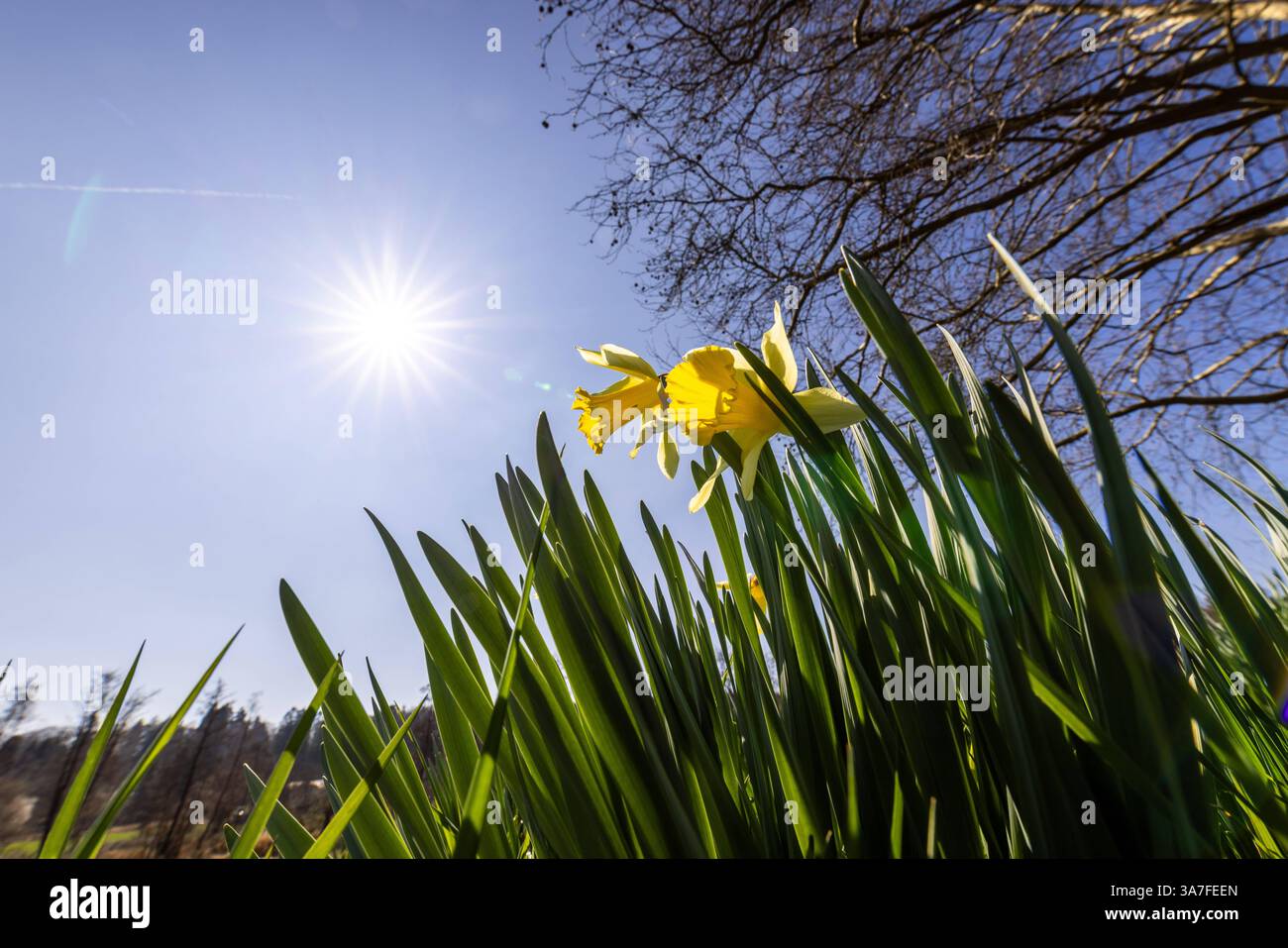 Elegantes Wetter Oberursel 30 Tage Bilder