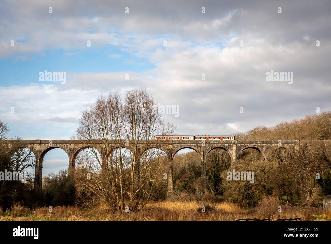 An unidentifed Transport for Wales train crosses Porthkerry viaduct ...