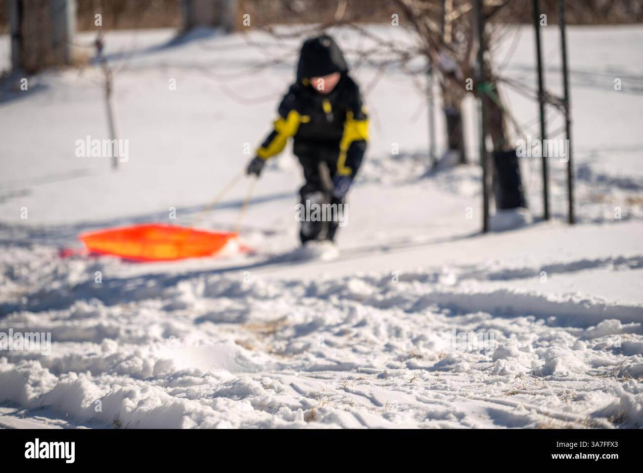 Child pulling a sled up a snow covered hill covered with tracks Stock ...