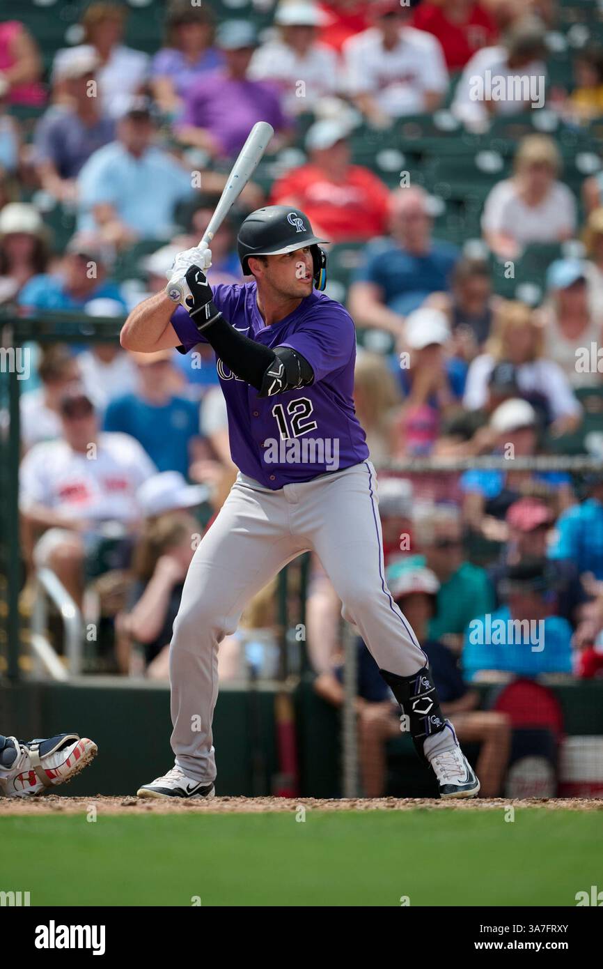 Colorado Rockies Sean Bouchard (12) at bat during an MLB Spring ...