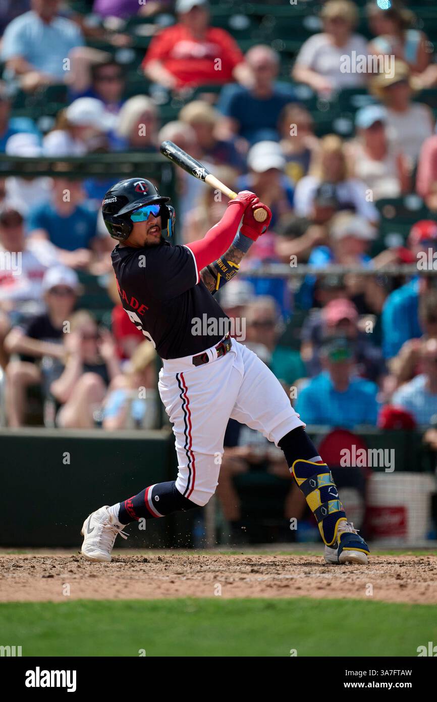 Minnesota Twins Danny De Andrade (25) at bat during an MLB Spring ...
