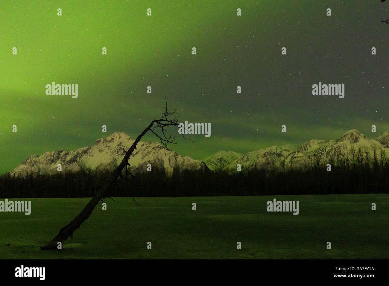 Mesmerizing Northern Lights over Echo Lake in Alaska Palmer, Alaska ...