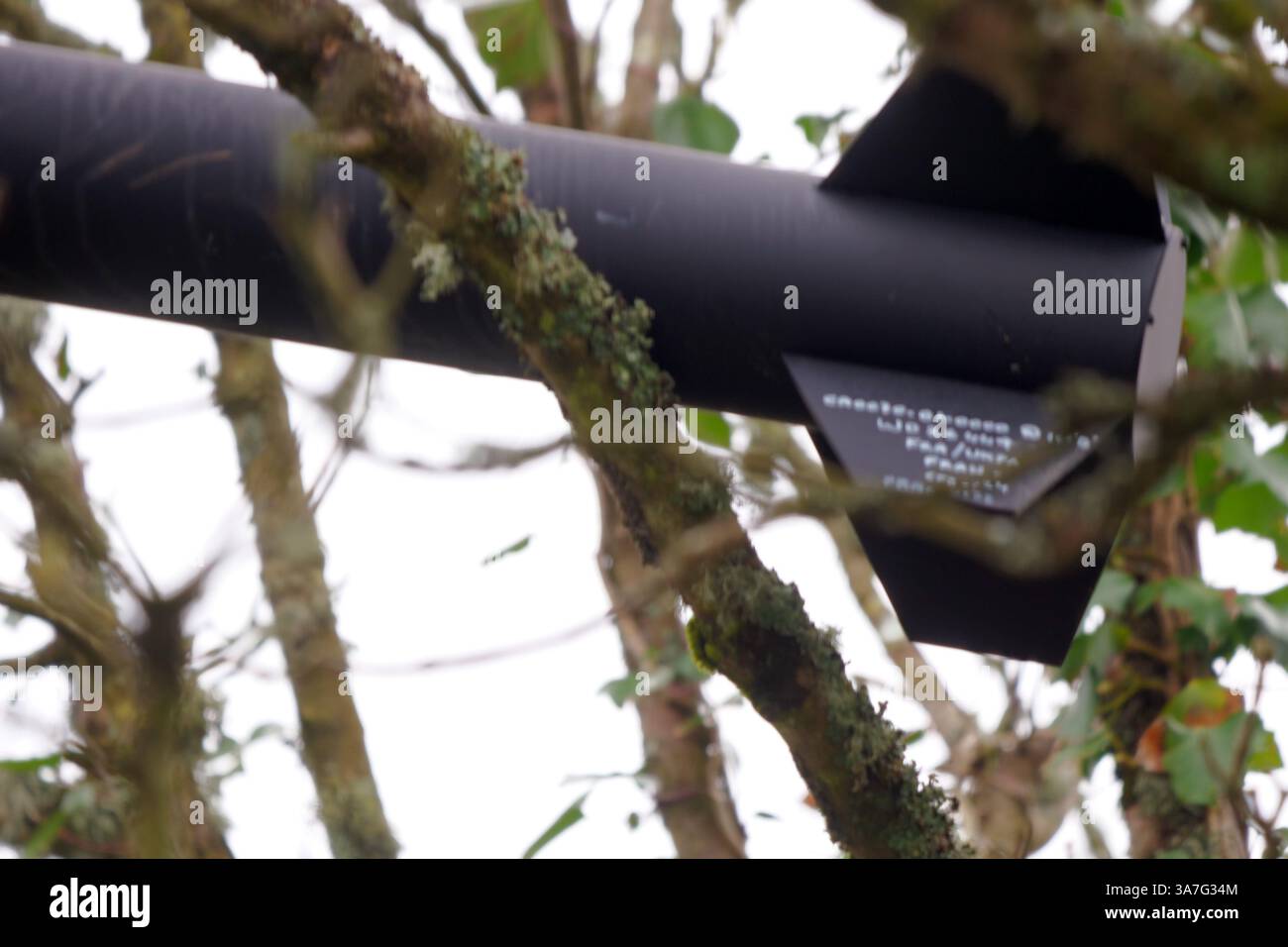 Robert rundle hi-res stock photography and images - Alamy