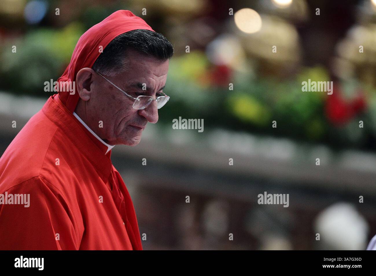 Baselios cleemis hi-res stock photography and images - Alamy