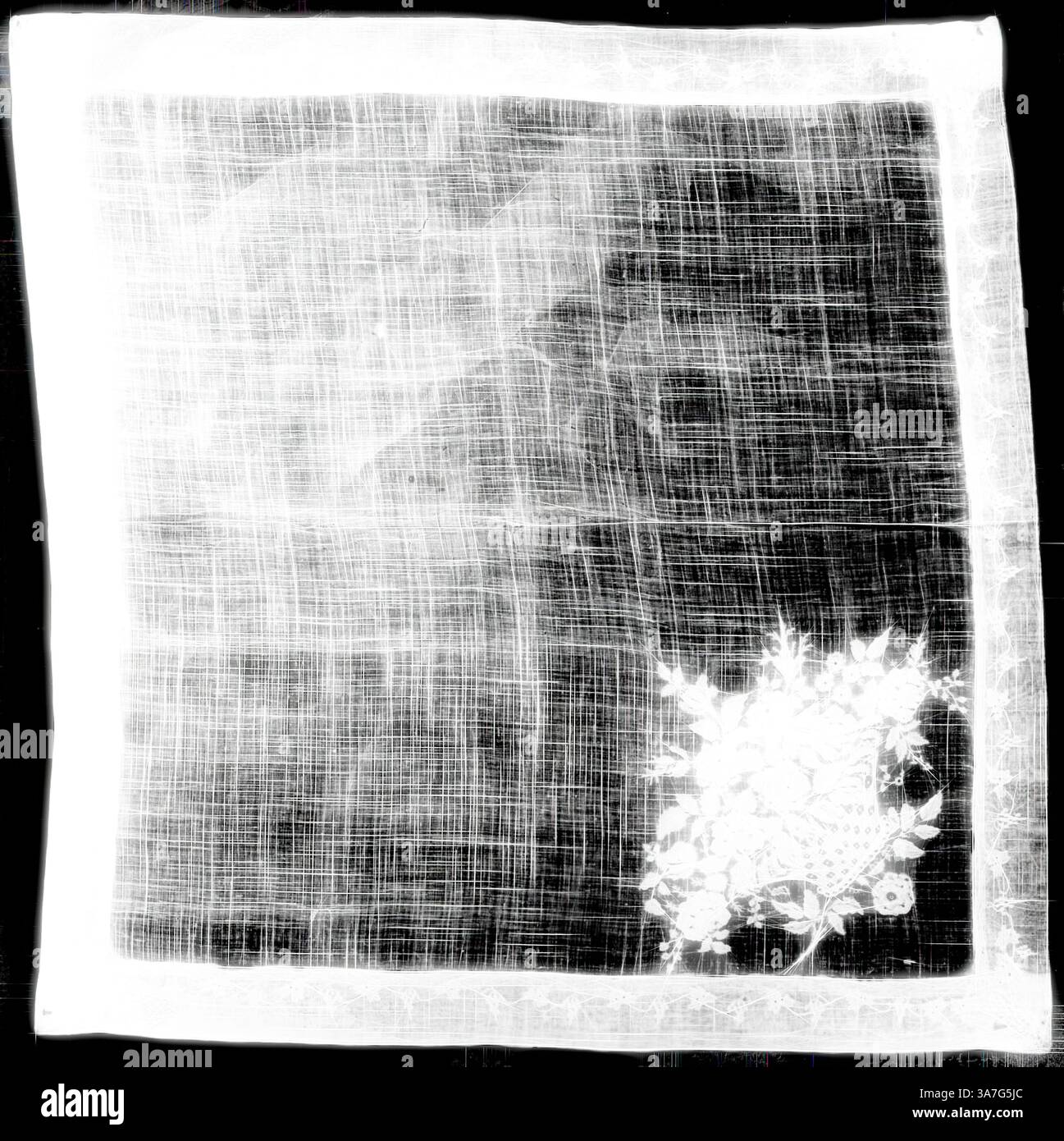 Delicate handkerchief features hi-res stock photography and images - Alamy