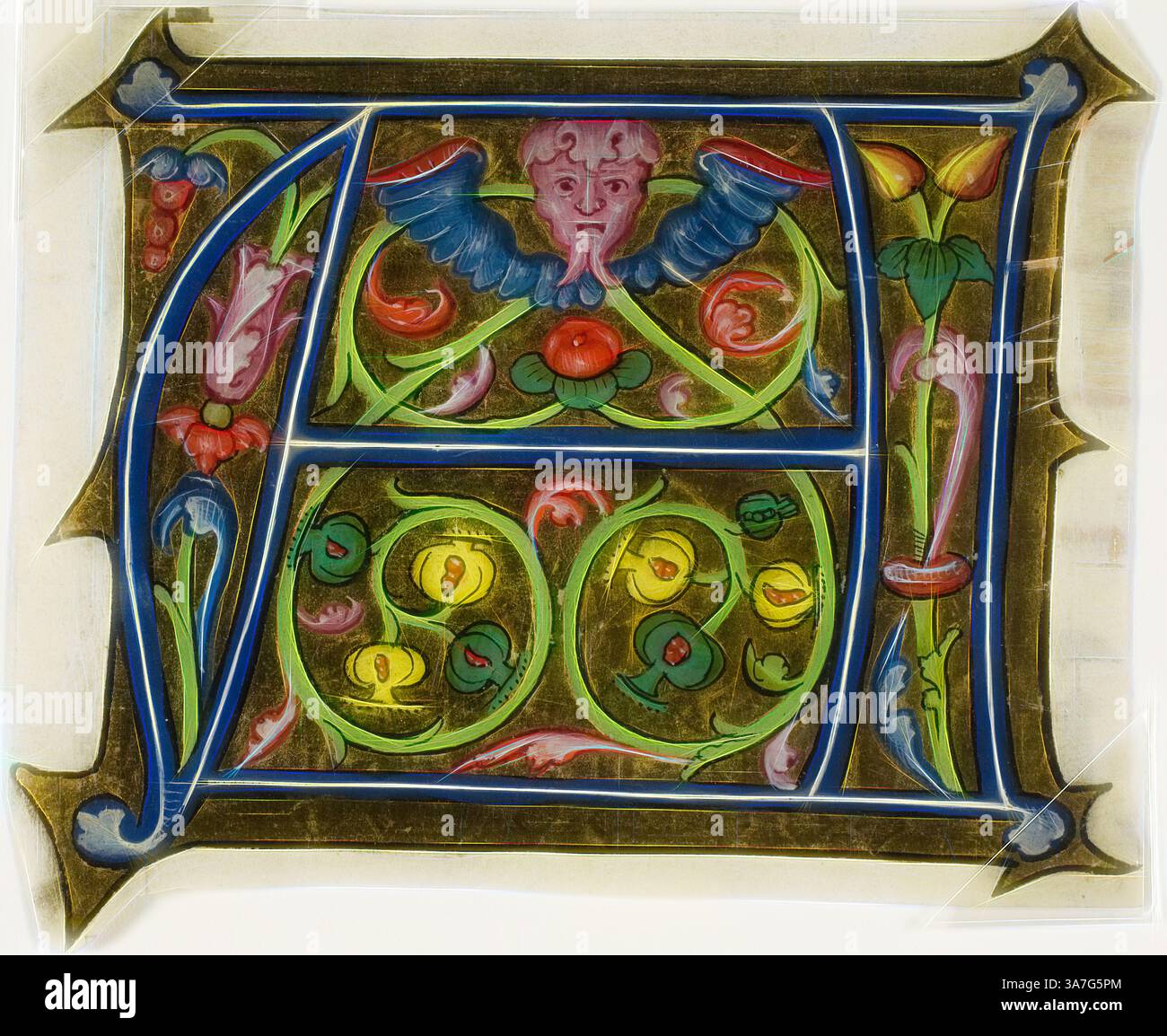 An intricate design featuring vibrant floral motifs and a whimsical ...