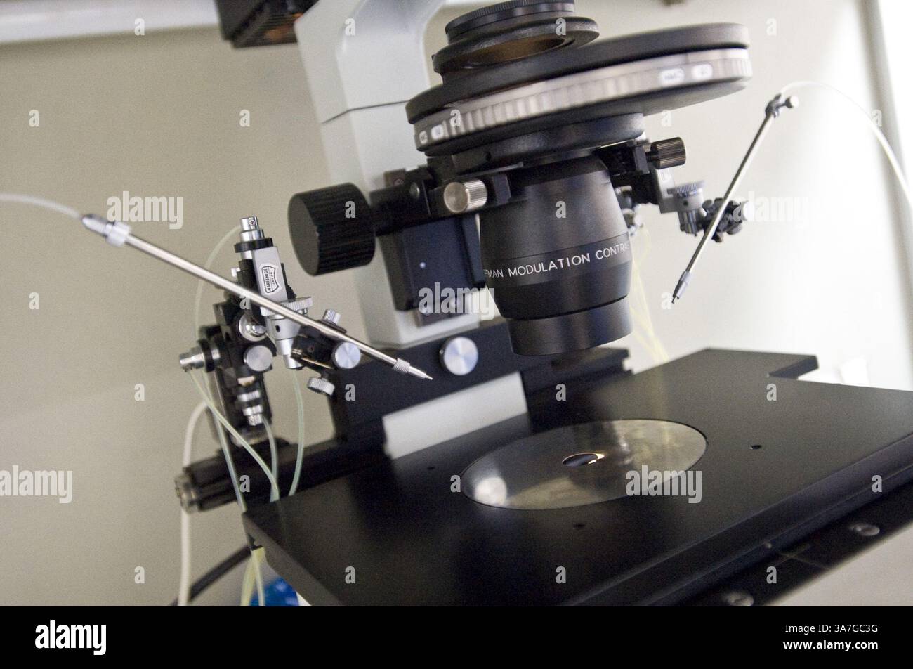 May 17, 2010 - Anand, Gujarat, India - Fertilization area. Under this ...