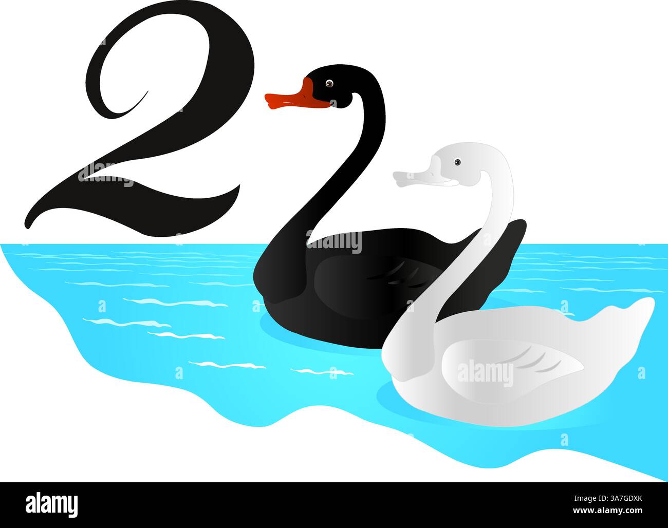 Swan collection Stock Vector Images - Alamy