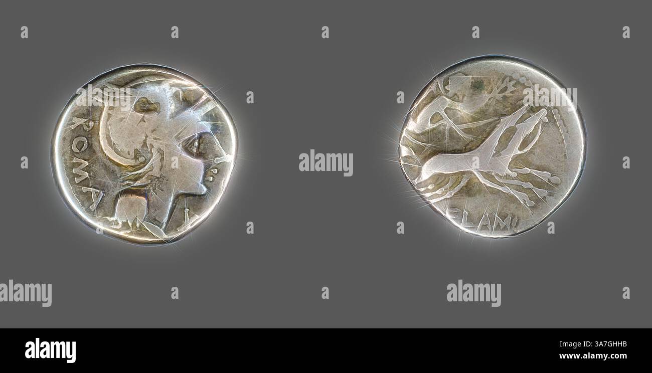 Two ancient coins are displayed, one featuring a profile of a figure ...