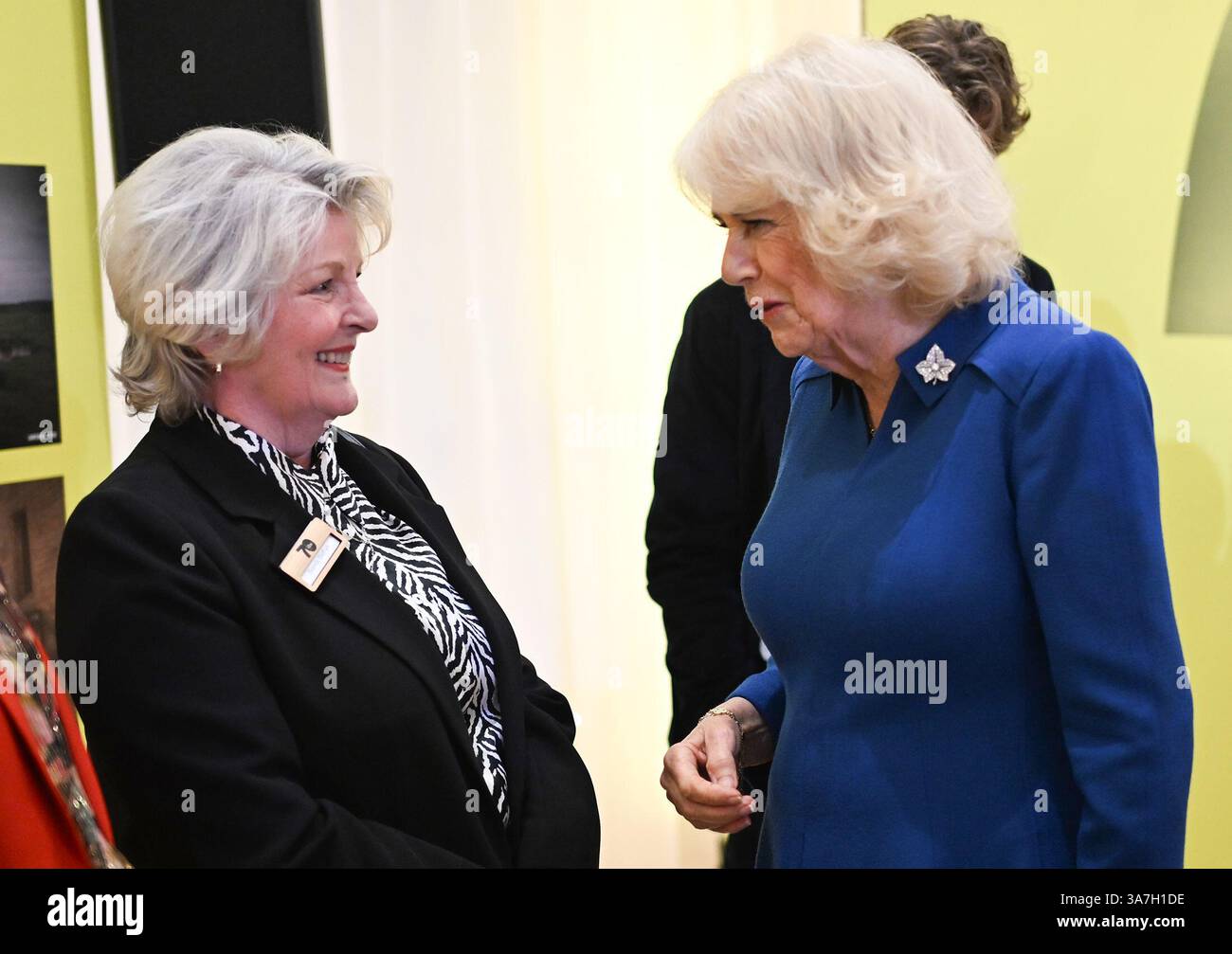 Queen Camilla (right) meets Brenda Blethyn during a reception at Brent ...
