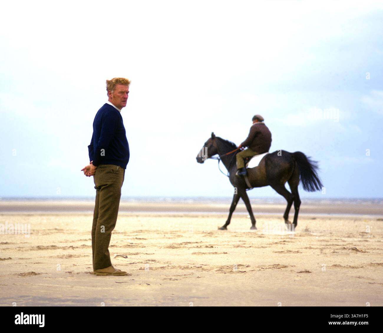 Red Rum on his Summer holiday in a Lancashire field Stock Photo - Alamy