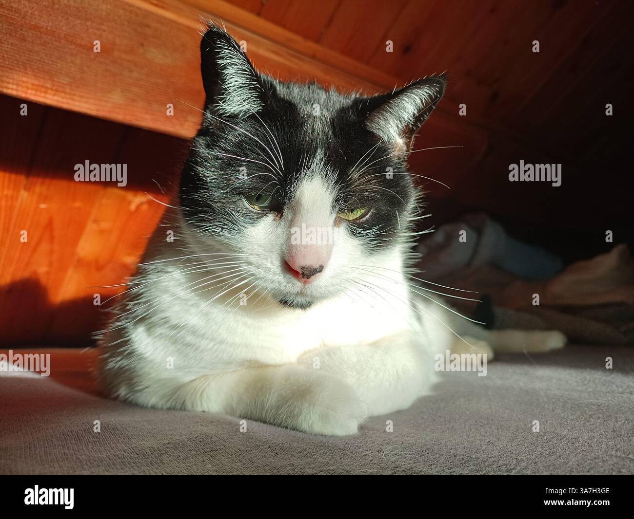 Soleil heureux hi-res stock photography and images - Alamy