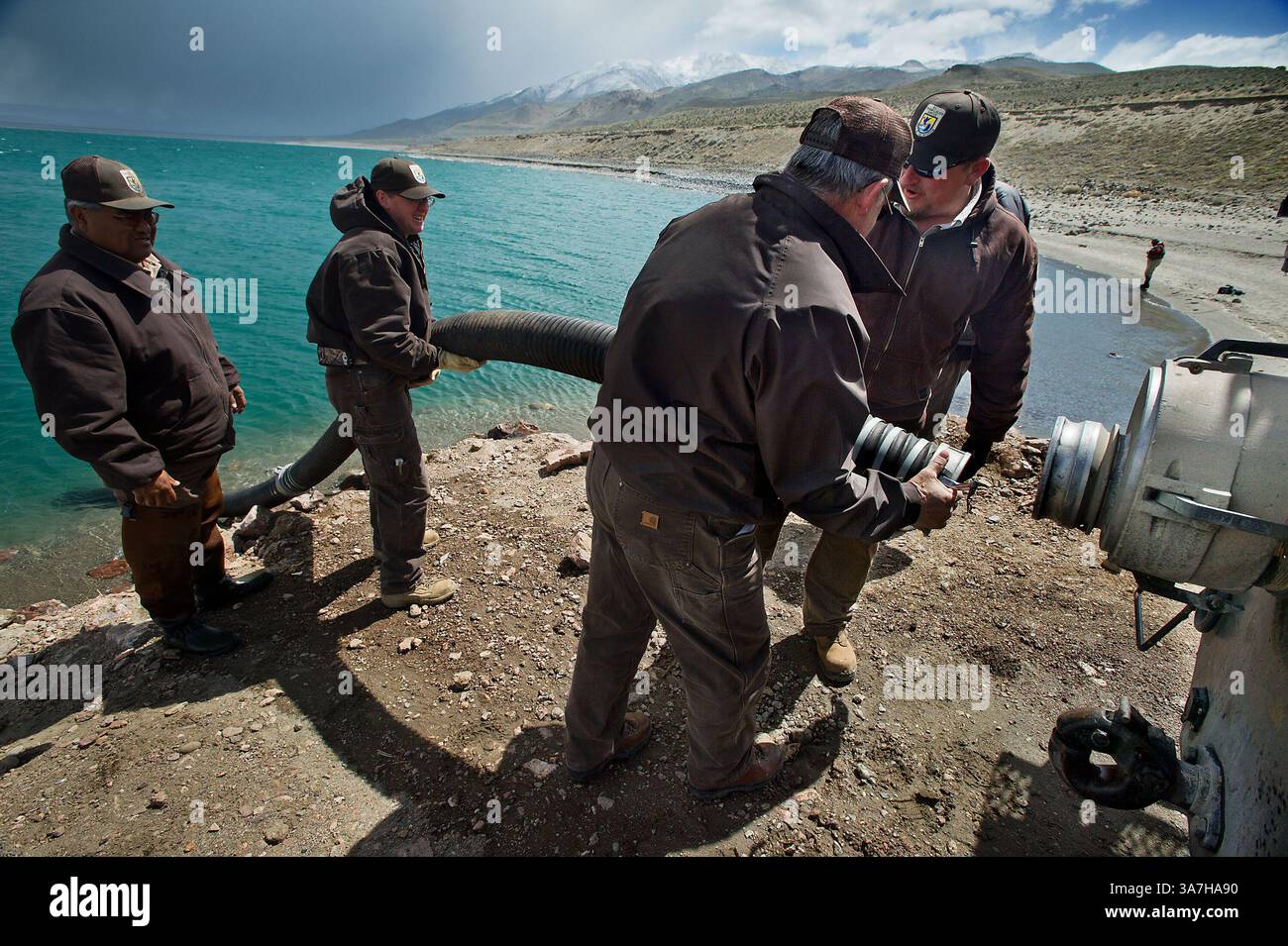 Extinct trout species hi-res stock photography and images - Alamy