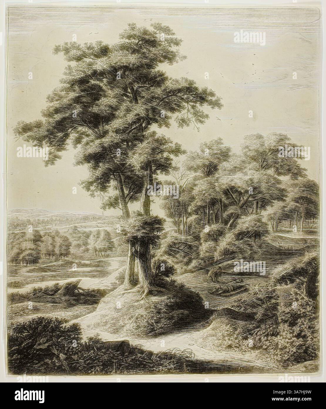 A serene landscape featuring tall trees amidst lush vegetation, with ...