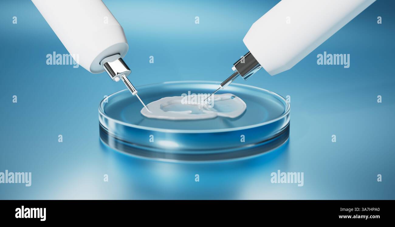 Bioprinted organ tissue in petri dish. Innovation in transplantology ...