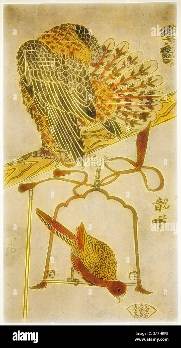 Another smaller bird situated hi-res stock photography and images - Alamy