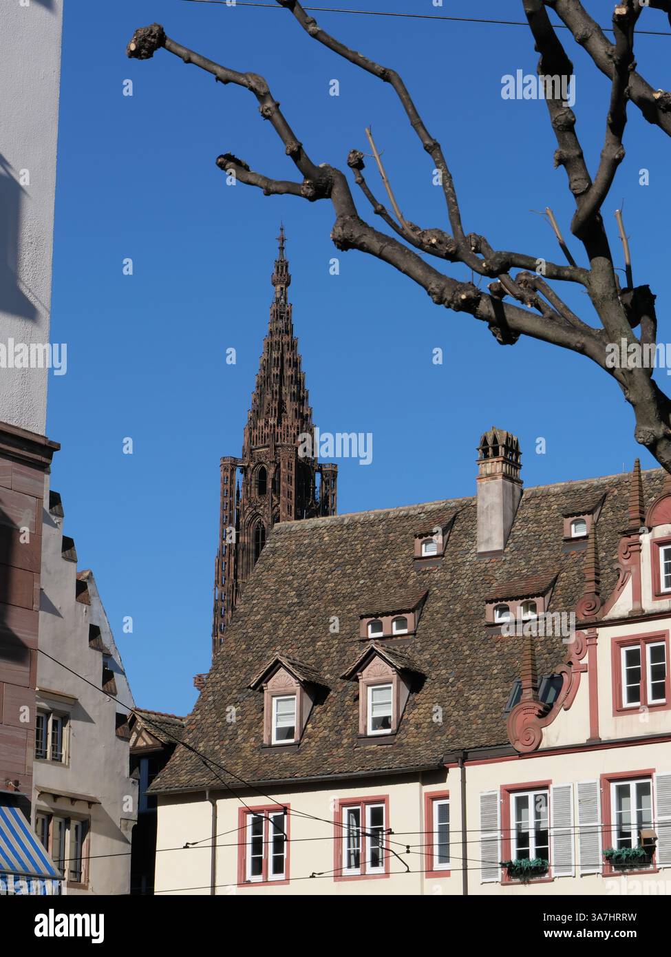 Gothic tower of the cathedral behind roof with dormers in Strasbourg ...