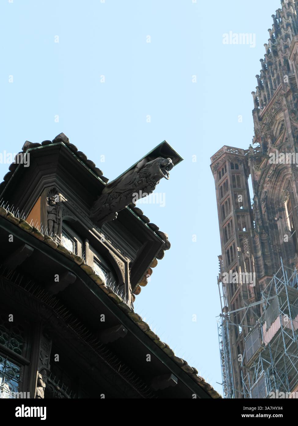 Dormer window with crane on the Kammerzell house in Strasbourg, one of ...