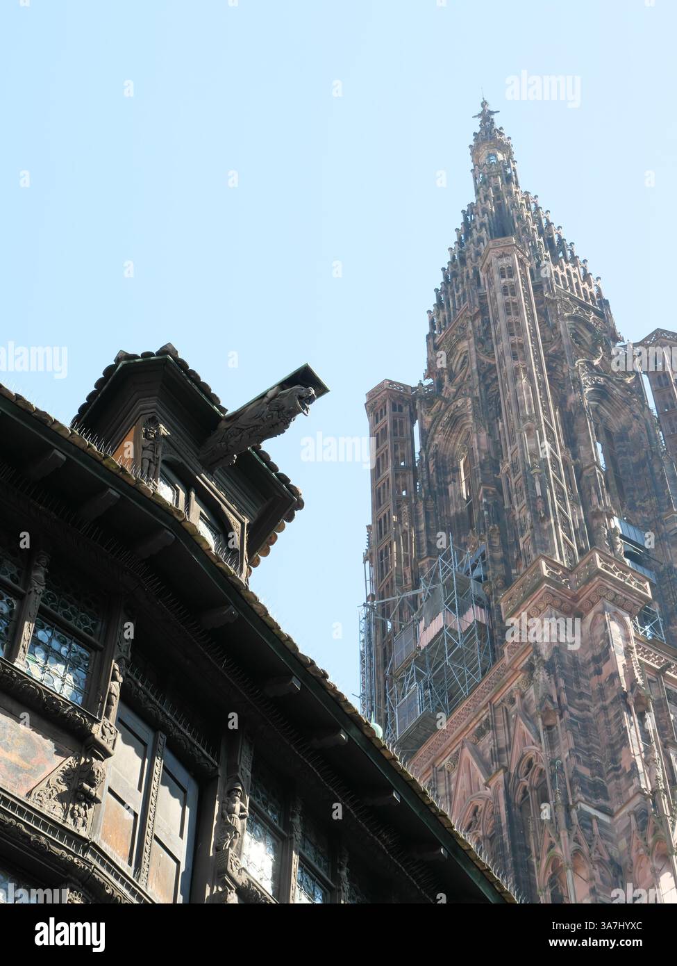 Dormer window with crane on the Kammerzell house in Strasbourg, one of ...