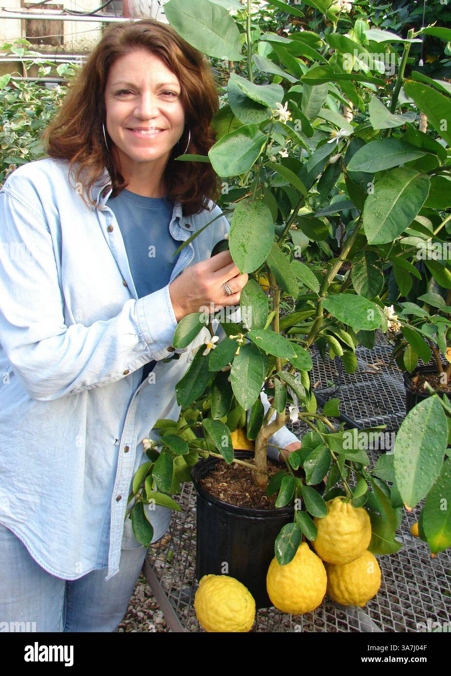 Susan pemberton hi-res stock photography and images - Alamy