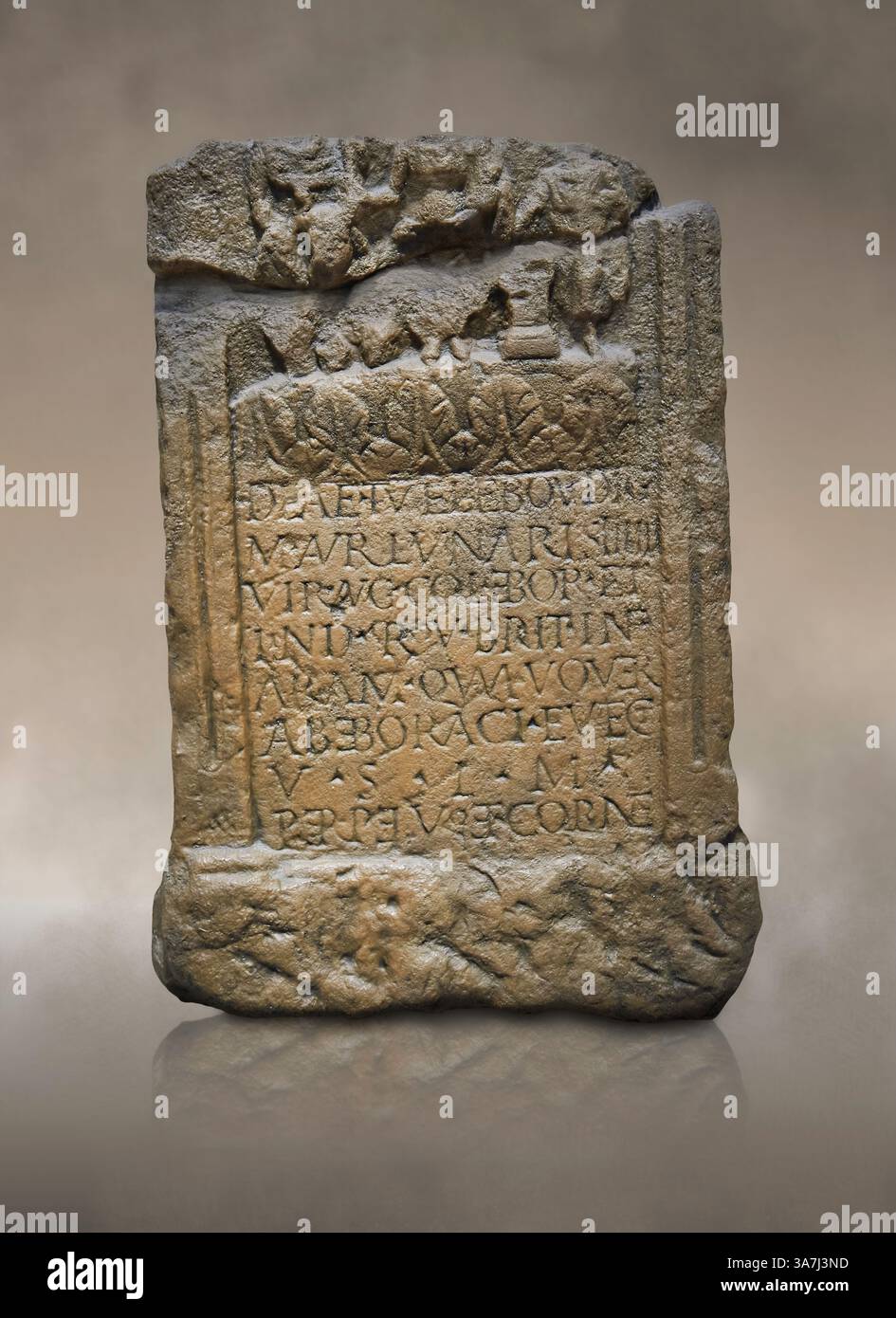 Cast of a Roman altar front made from British Millstone Grit set up in ...