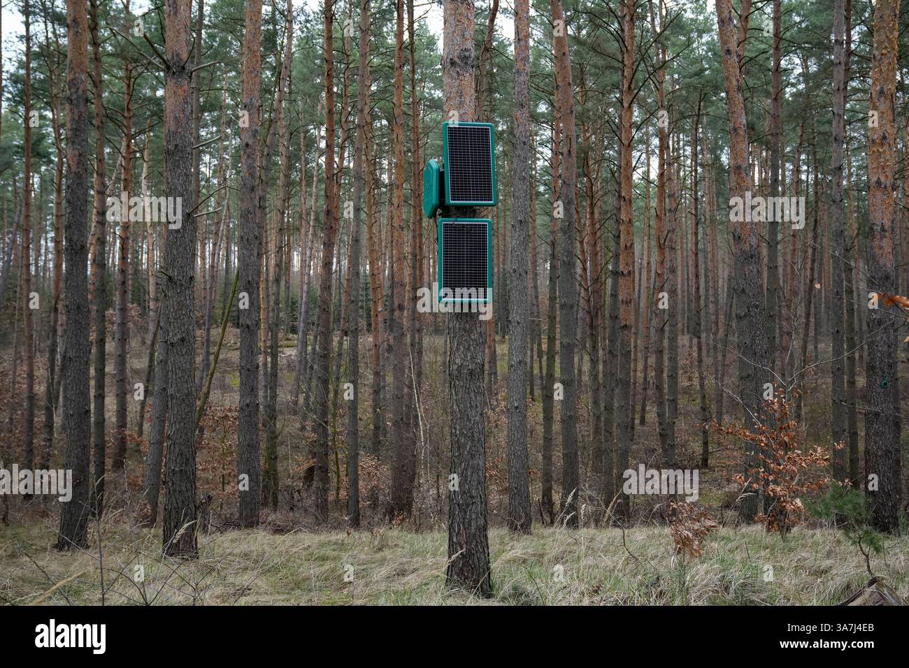 Fire-sensetive sensors that send alarms to the AI-based drone system ...