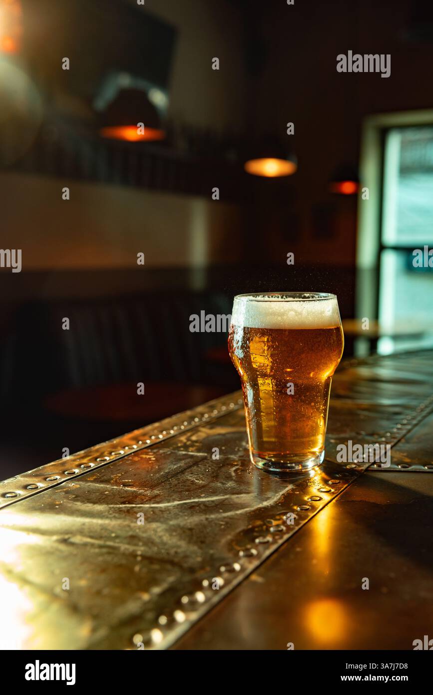 Chilled pint glass filled with lager beer in golden tones on sunlit bar ...
