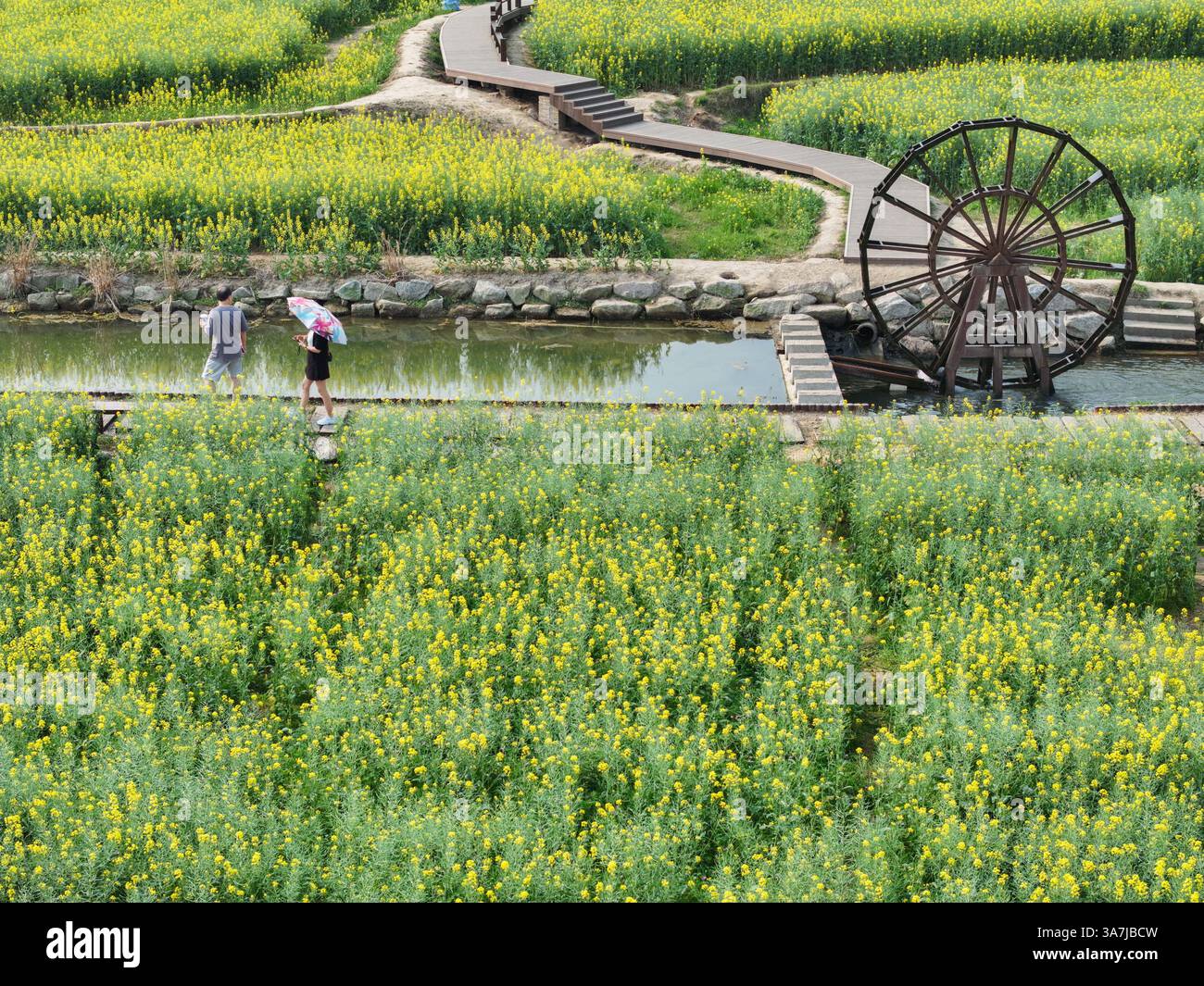 (250327) -- CHANGSHA, March 27, 2025 (Xinhua) -- An aerial drone photo ...