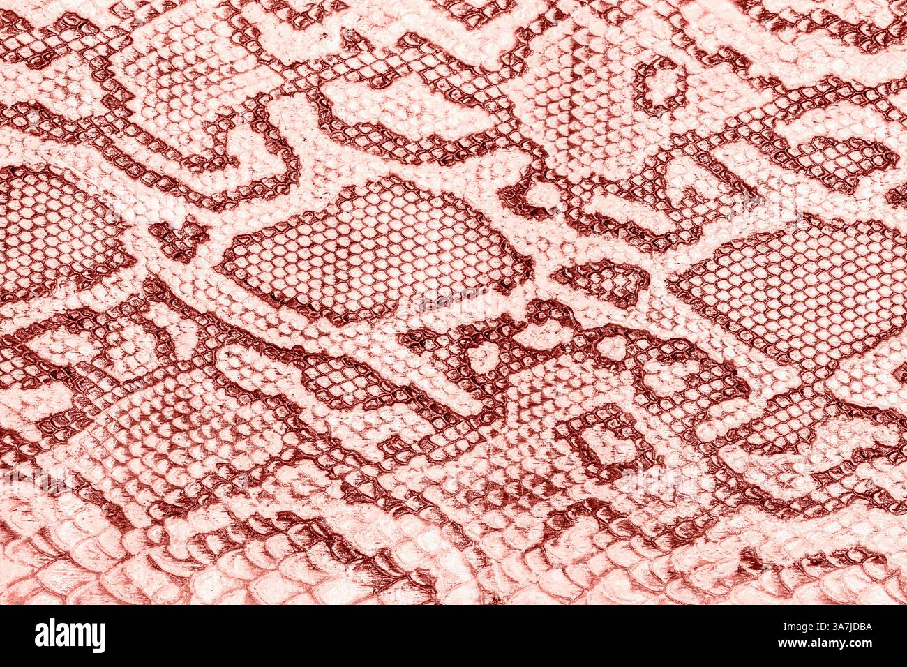 Brown snake skin texture with unique pattern of detailed scales and ...