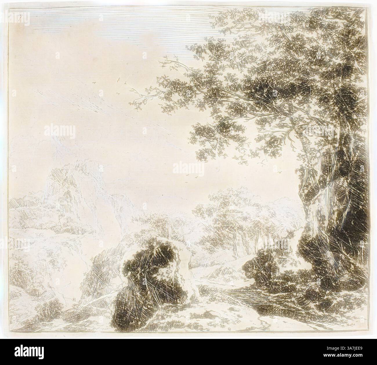 A serene landscape featuring rugged terrain and towering trees, with ...